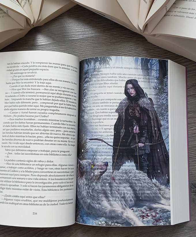A Court of Roses and Thorns ACOTAR - Set of Overlays - Fairy & Dragon